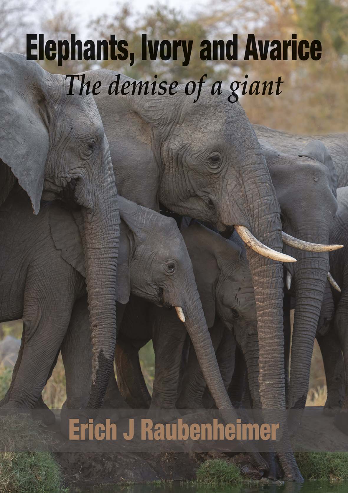 Elephants, Ivory and Avarice – Malan Media